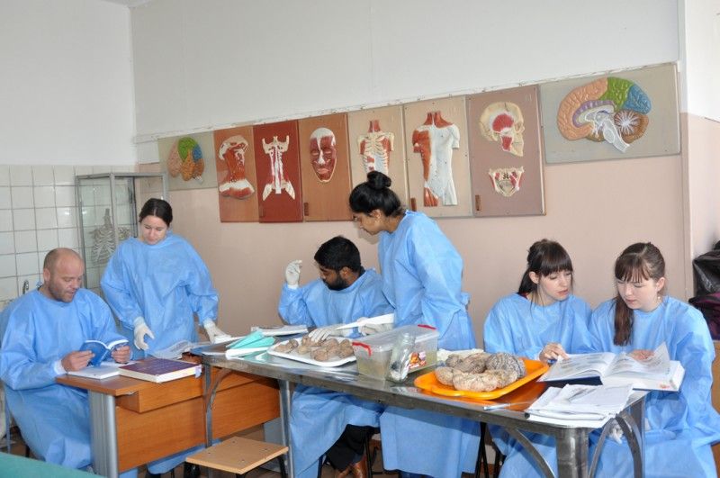 Anatomia omului - o artă la USMF ”Nicolae Testemițanu” | Universitatea ...